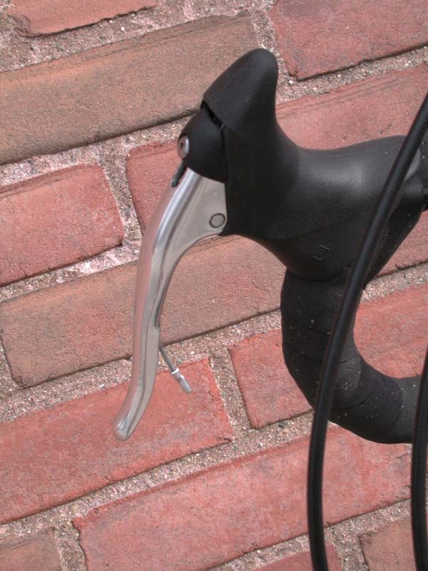 Sheldon Brown's Thorn Raven Bicycle